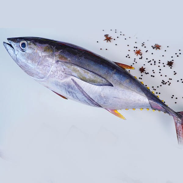 Yellow Fin Tuna / Kerai Meen ‐ Boneless – Meenkadai